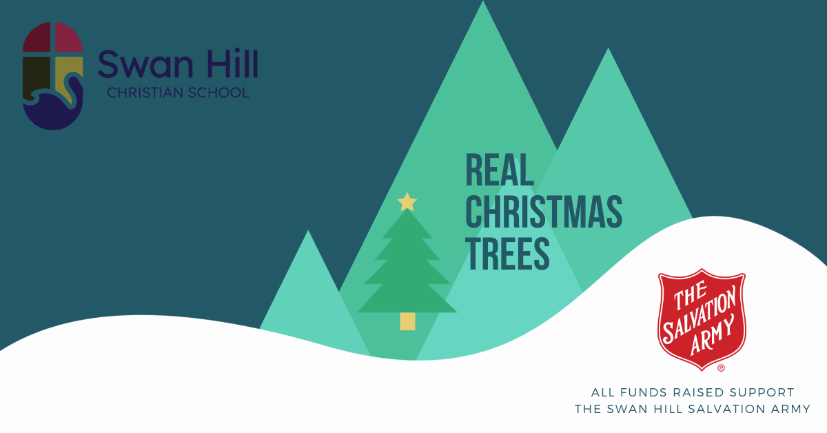 Swan Hill Christmas Trees